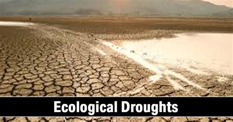 Ecological Droughts In India Causes Impacts And The Way Forward