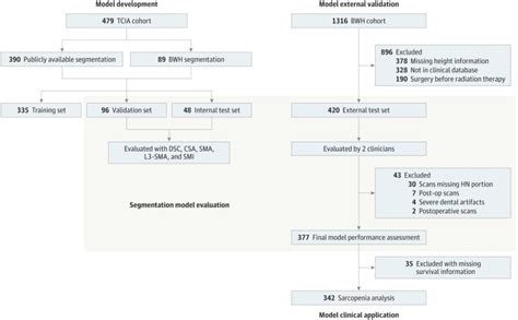 Jama Network Open On Linkedin Deep Learning For Sarcopenia Analysis In