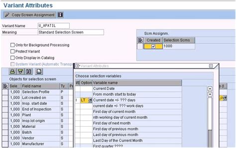 Dynamic Date Selection In Variants Sap Community