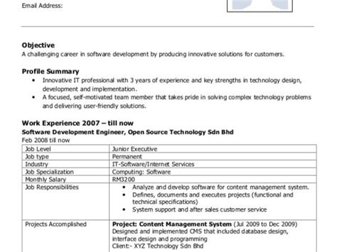 Resume Format Word File For Engineers Sample Software Engineer Resume 8 Examples In Word Pdf