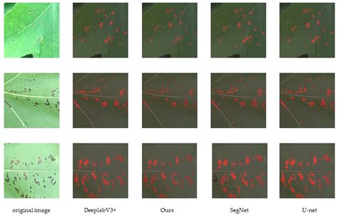 Comparison Diagram Of The Segmentation Effect Download Scientific