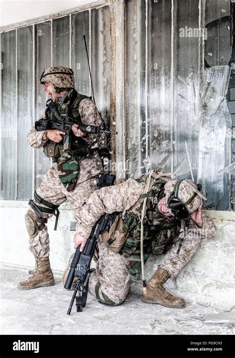 Commando Assault South African M83 Assault Vest By Commando Commando