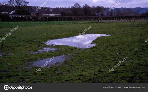 Puddle Grass Puddle Water Grass Horse Farm Rain Sunset Cloudy Stock