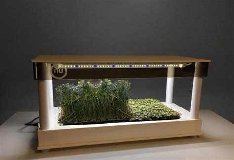 As Mentioned In My Previous Posts We Are Finally Ready To Roll Out Our