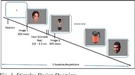 Figure 1 From Dynamic Functional Connectivity Reveals Stages Of Face Perception In Brain