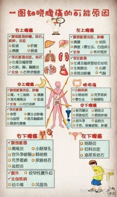一图读懂7 种常见腹痛的各大病因 知乎