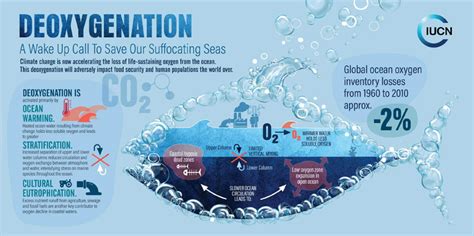 Deoxygenation Là Gì Cách Sử Dụng Và Ví Dụ Câu Tiếng Anh