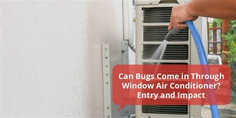 Can Bugs Come In Through Window Air Conditioner Entry And Impact