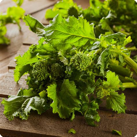 Raab Spring Rapini Seeds Heirloom Untreated Non Gmo From Canada The