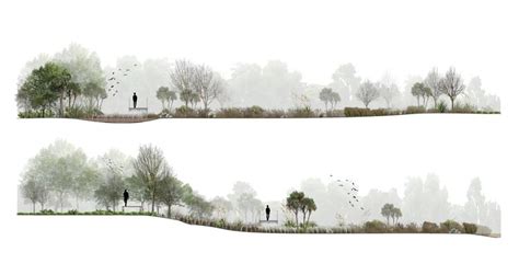 Ландшафтная архитектура