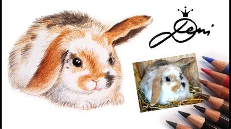 Kaninchen Zeichnen Lernen Nach Foto Eines Zuschauers 🐰 How To Draw A Bunny 🐇 Kак се рисува зайче