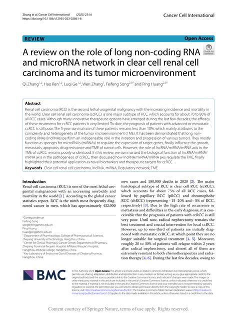 Pdf A Review On The Role Of Long Non Coding Rna And Microrna Network