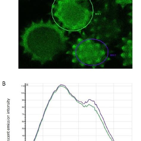 A Spectral Wavelength Lambda Scan Of Autofluorescent Emissions From Download Scientific
