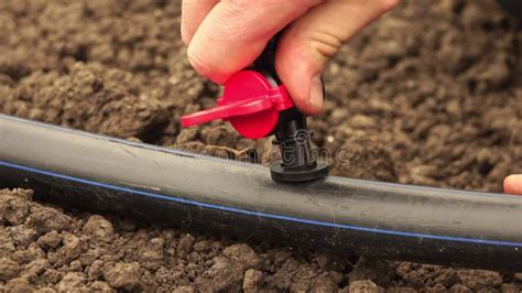 Man Installing Drip Irrigation System Close Up Stock Video Video Of Garden Fertilizer