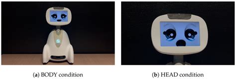 Experimental Trial Sequence Download Scientific Diagram