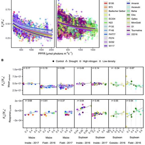 Automated Phenotyping Systems Captured The Dynamic Of Photosynthesis In
