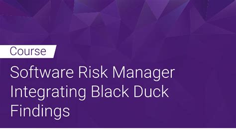 software risk manager integrating black duck findings