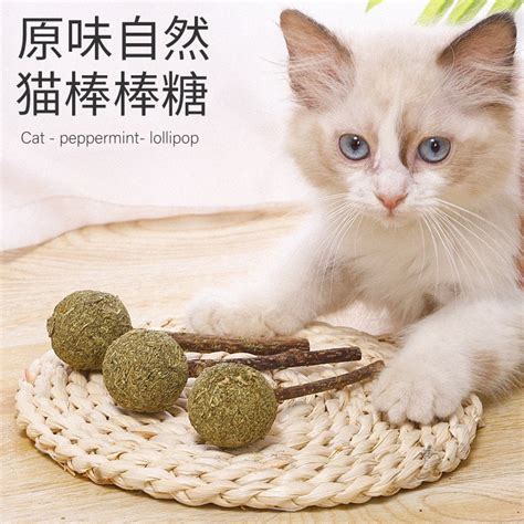 【批發代發專倉】台灣現貨 24h 棒棒糖 貓薄荷 貓草球 貓咪玩具 貓草 貓玩具 逗貓棒 貓草棒 逗貓 木天蓼 逗貓玩具 蝦皮購物