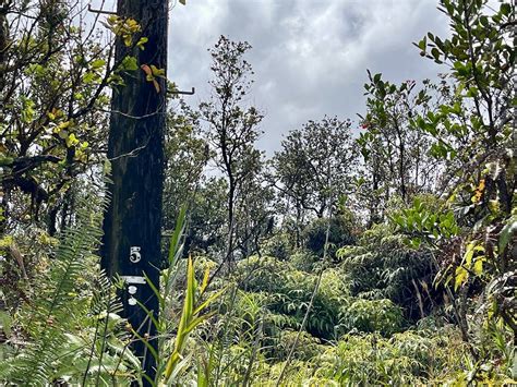 Menpachi St Mountain View Hi 96771 Kohala Coast Properties