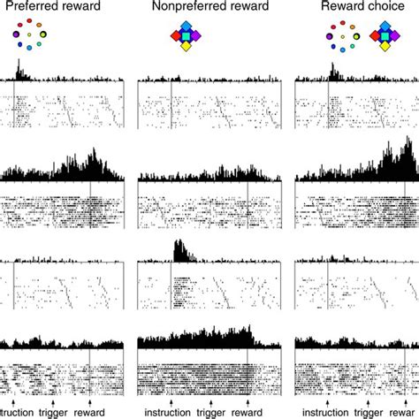 Neural Responses In Orbitofrontal Cortex A Response To Instruction Download Scientific Diagram