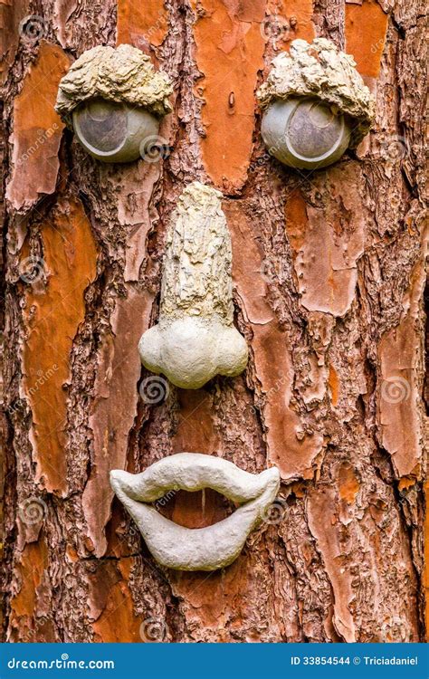 Tree Face Stock Photo Image Of Ghost Mythical Haunted 33854544