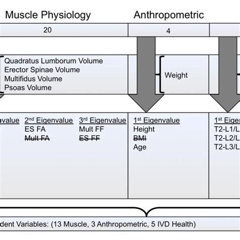 Schematic Depicting The Reduction Of Collinear Independent Variables Download Scientific