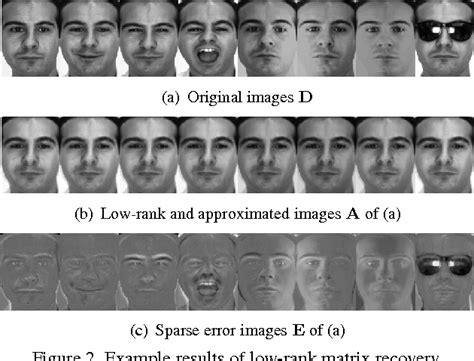 Figure 1 From Low Rank Matrix Recovery With Structural Incoherence For Robust Face Recognition