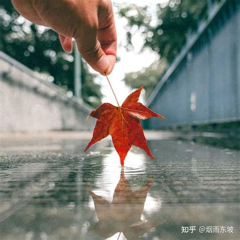 25个充满哲理的人生格言 知乎