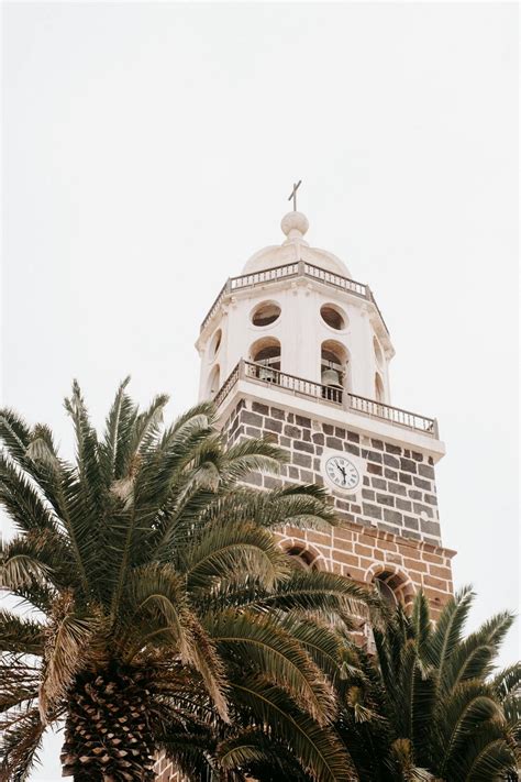건물 건축 경치가 좋은 고대의 관광객 교회 교회 탑 그린 팜 기념비적 인 기독교 나무 도시의 돌 랜드마크 명소 목적지 문화 문화 유산
