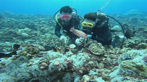 Couplesmakingpassionatelove Videos Download The Best Free 4k Stock