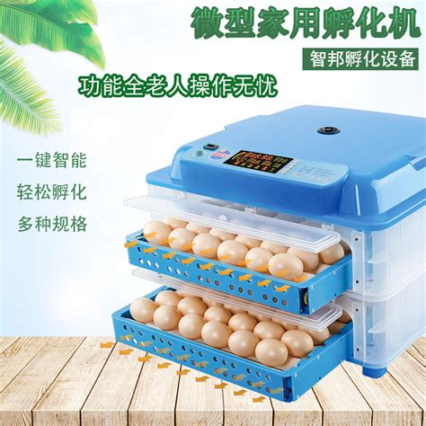 孵化机 孵化设备 德州市德城区兴邦孵化设备销售部