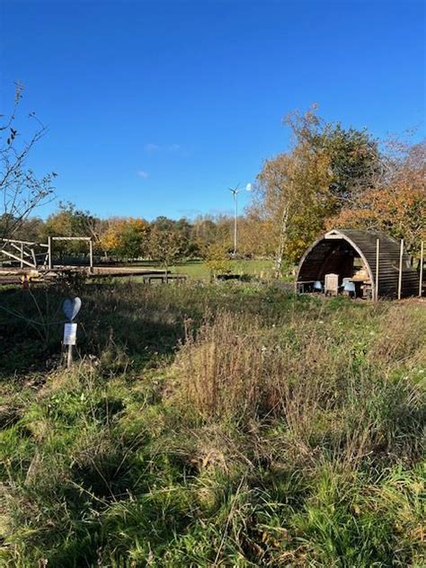School Tour Ellingham Vc Primary School