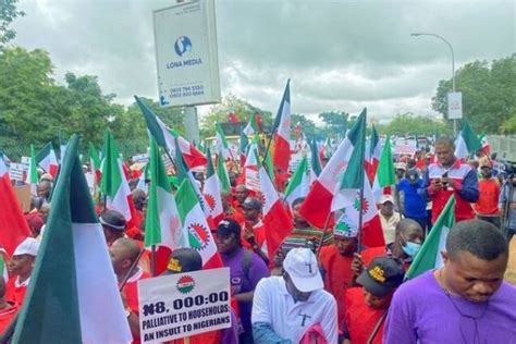 Why We Suspended Our Nationwide Strike Organised Labour — The Defender