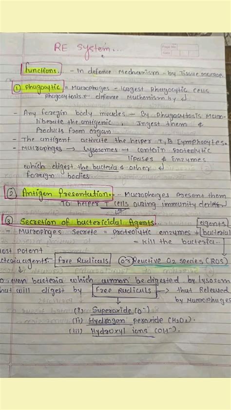 Functions Of The Reticuloendothelial System System Function Body