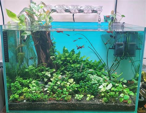 B Th Y Sinh C G H P D N M Nhi U Ng I Chi Ti N Tri U L M Voz