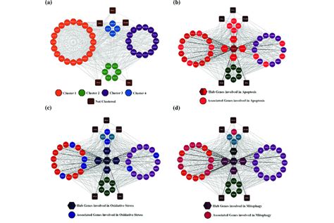 Gene Interaction Network Analysis A Mcode Clustering Analysis Of 49
