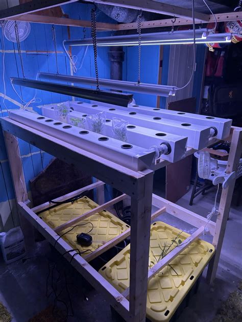 Our First Indoor Veggie Grow System Rhydroponics