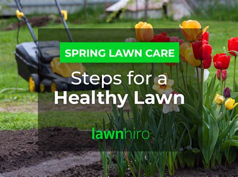 Spring Lawn Care Steps For A Healthy Lawn Lawnhiro