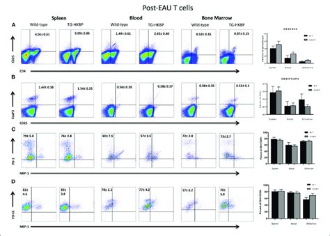 Flow Cytometry Analysis Of Post Eau Tg Hkbp Mice For Treg Cells Download Scientific Diagram