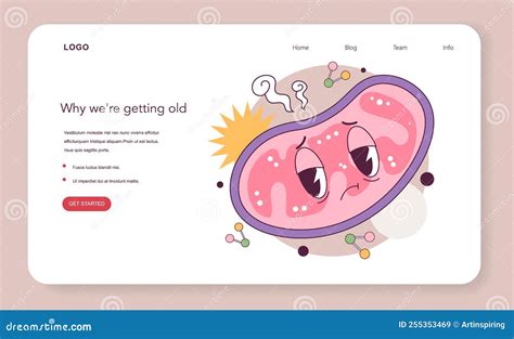 Mitochondria And Aging Process Tired And Old Mitochondrion Stock Vector Illustration Of