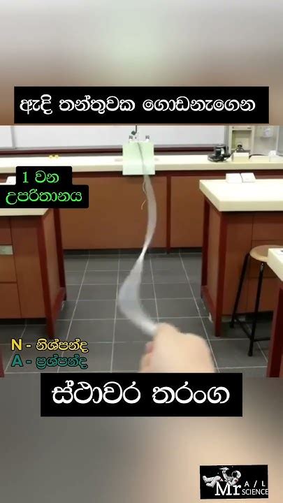 ඇදි තන්තුවක ඇතිවන ස්ථාවර තරංග රටා Shorts Viral Education Srilanka Short Science Physics