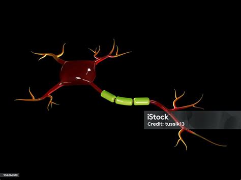 신경 세포의 3 차원 일러스트 레이 션 고해상도 3d 일러스트 절연 블랙 건강관리와 의술에 대한 스톡 사진 및 기타 이미지 건강관리와 의술 과학 뇌 Istock