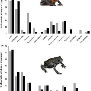 Percentages Of Identifiable Types Of Prey In Males And Females A Of Download Scientific