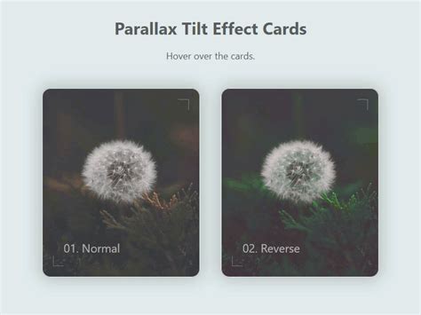 Tilt Effect Designs Themes Templates And Downloadable Graphic