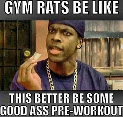 Gym Rat Workout Memes Gym Rat Gym Humor
