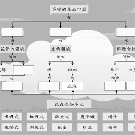 Designing Examples Of Conception Map In Dgbi Teaching Download Designing Examples Of Conception Map In Dgbi Teaching Download