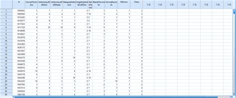 二分类logistic回归的spss实现使用spss进行二分类模型多个评价指标表格绘制 Csdn博客