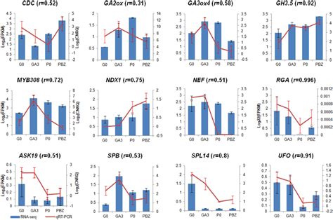 Verification Of Rna Sequencing Results Via Qrt Pcr For 12 Degs Download Scientific Diagram