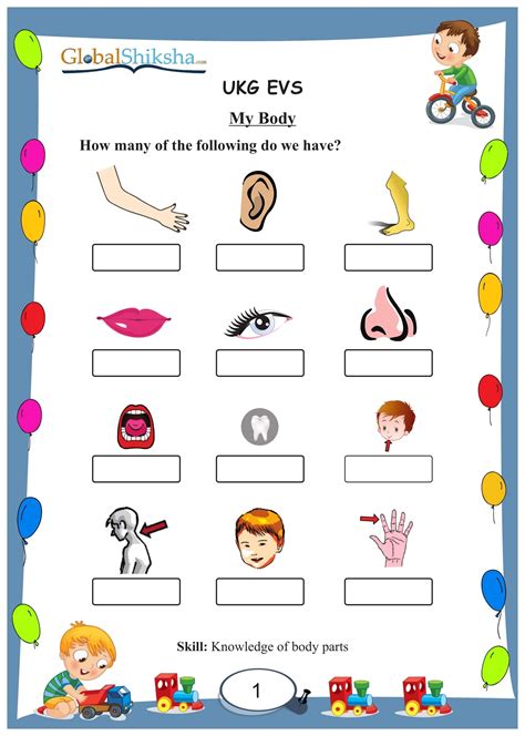 Class 1 Evs Worksheet Printable Coloring Free