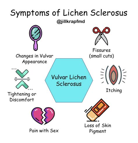 Vulvar Lichen Sclerosus Its Not Just Itching Jill Krapf Md